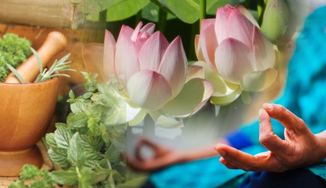 Recognizing Mental Illness: Understanding Common Symptoms and Signs